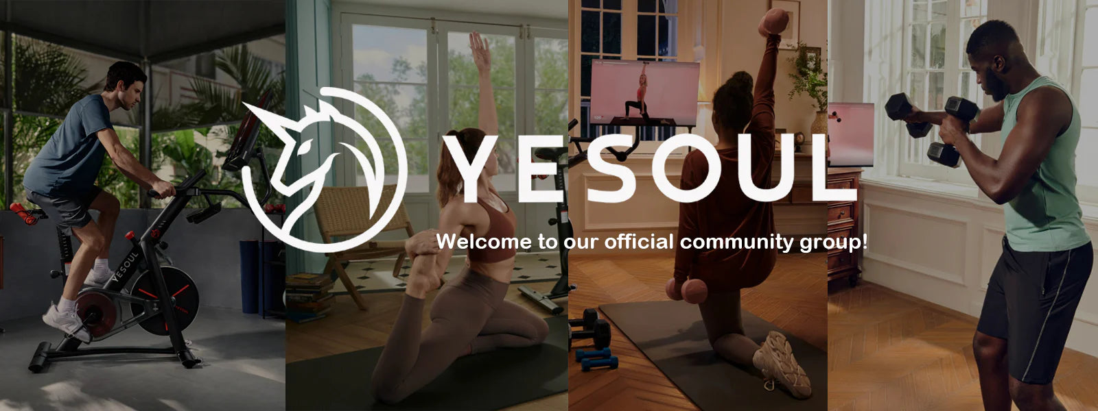 Wholesale Fitness Equipment: Yesoul Cardio Machines – Yesoul Fitness ...